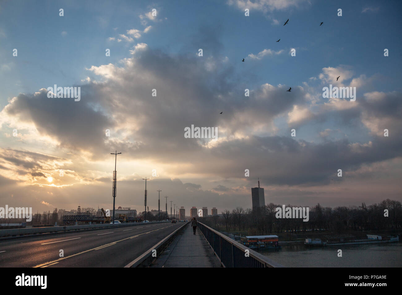 Brankov hi-res stock photography and images - Alamy