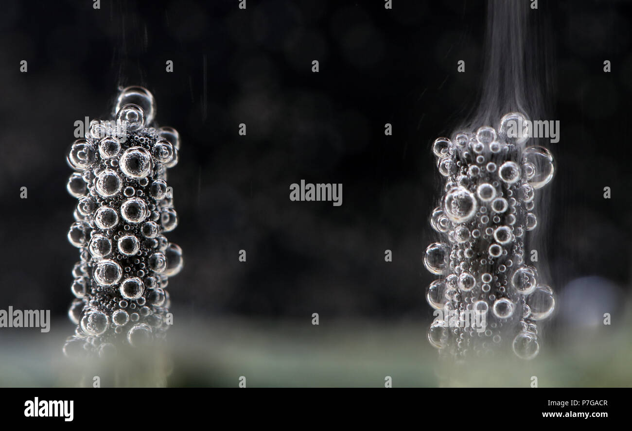 Macrophoto of electrolysis of water with acetic acid. Oxygen is created ...