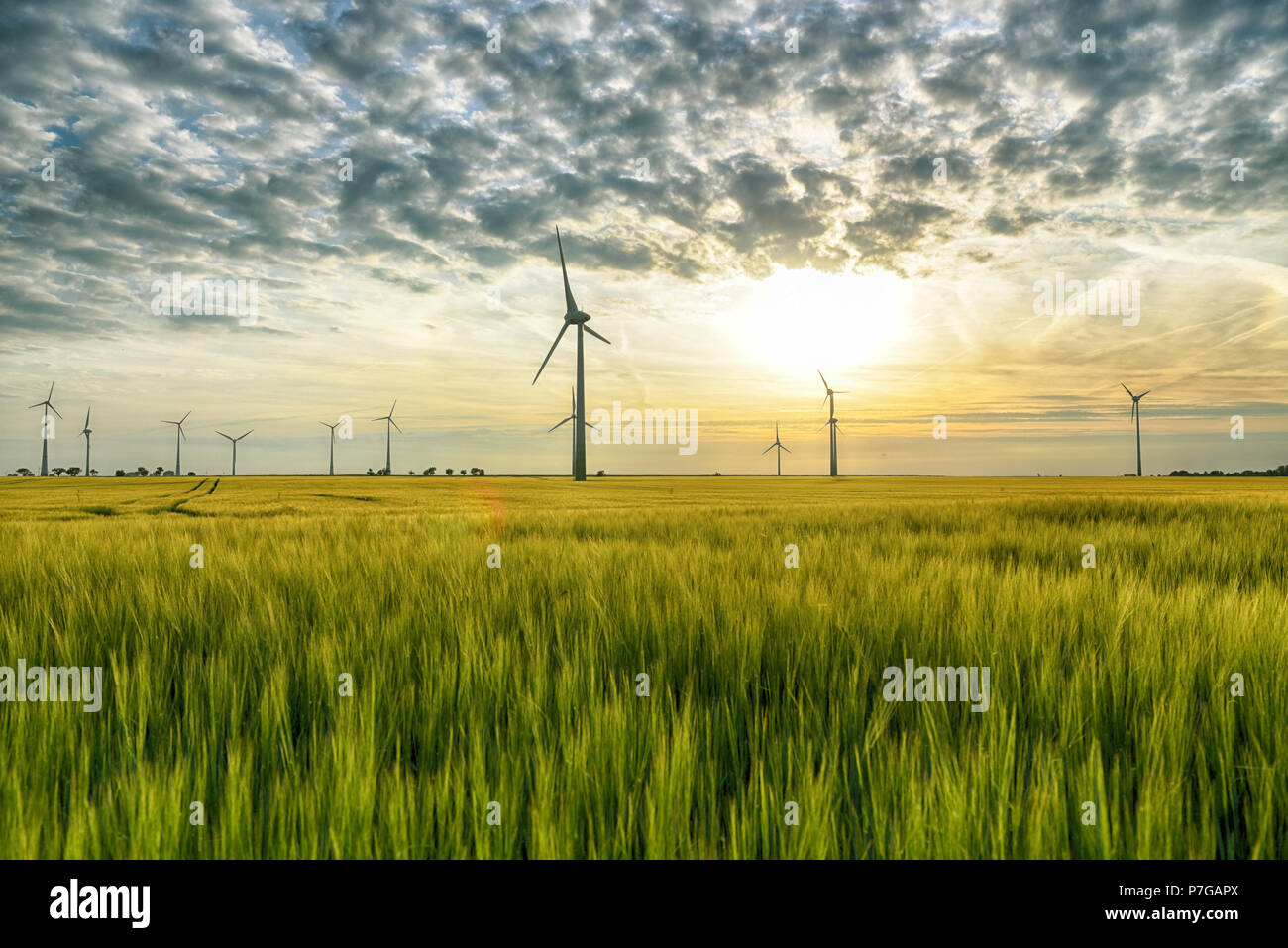 renewable energies - power generation with wind turbines in a wind farm ...