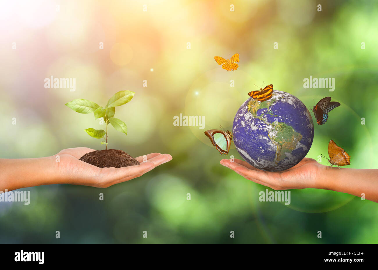 Plant and earth in the hand on green nature background - Corporate ...