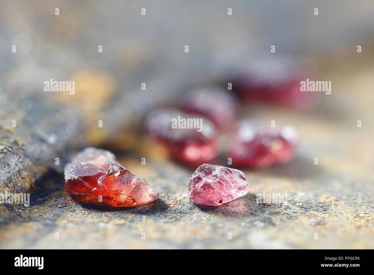 Garnets from Lapland Stock Photo - Alamy