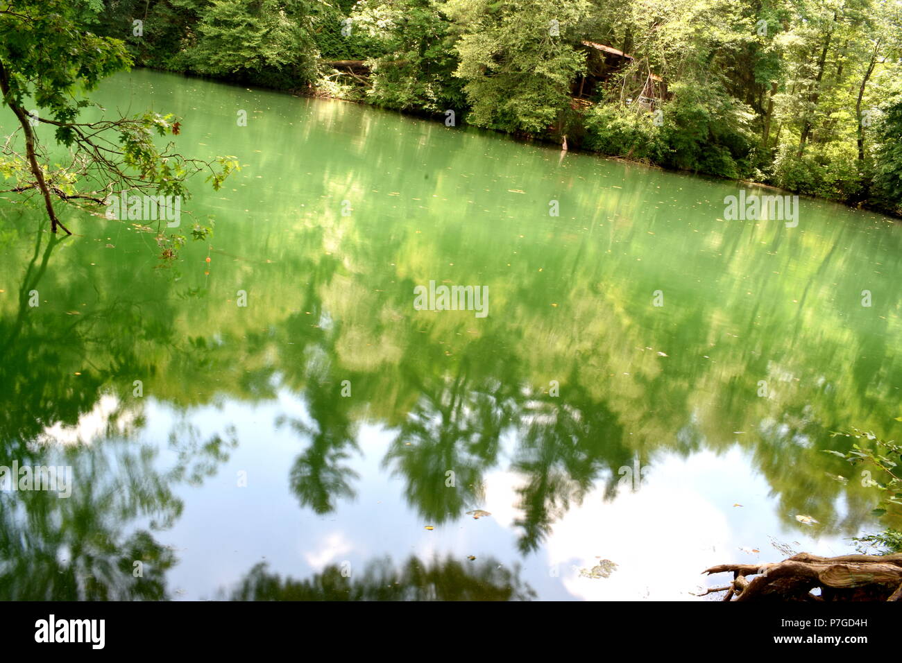 Tree trees reflecting reflections lake water hi-res stock photography ...