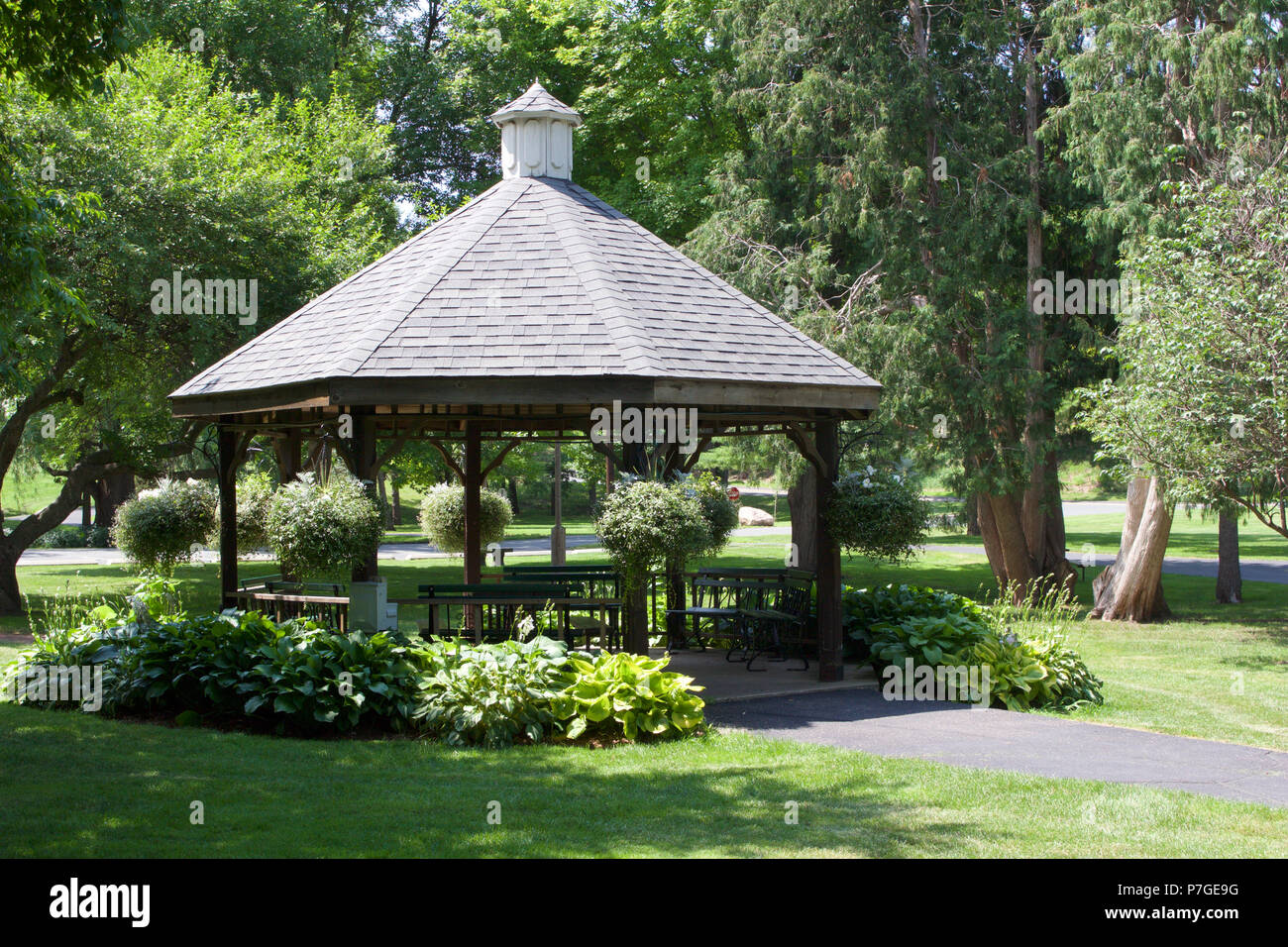 Wooden gazebo in a nature or park setting with lush plants - Green ...