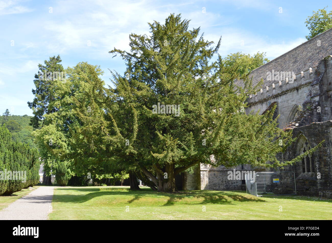 Dunkeld arboretum hi-res stock photography and images - Alamy
