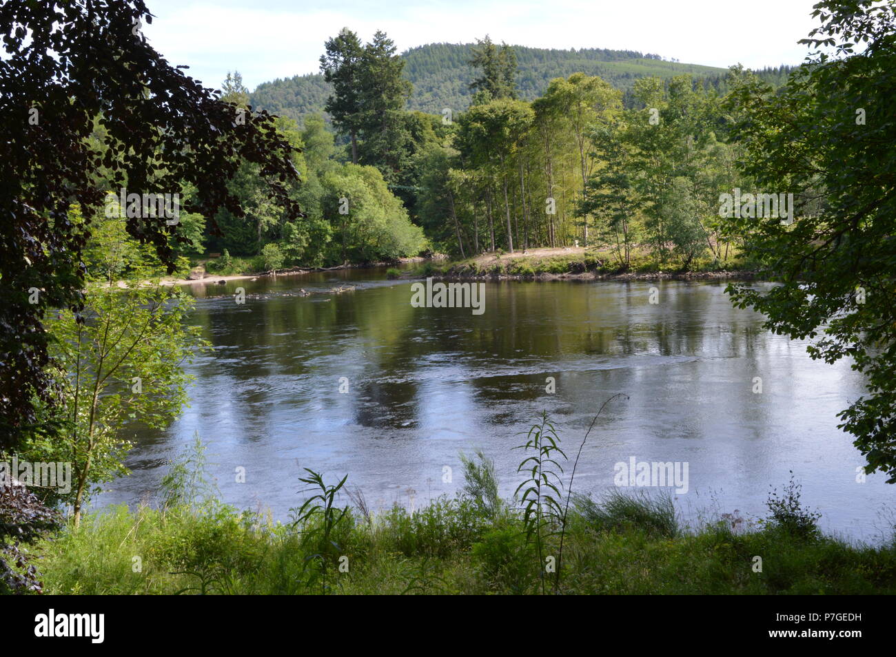 Dunkeld Arboretum High Resolution Stock Photography and Images - Alamy