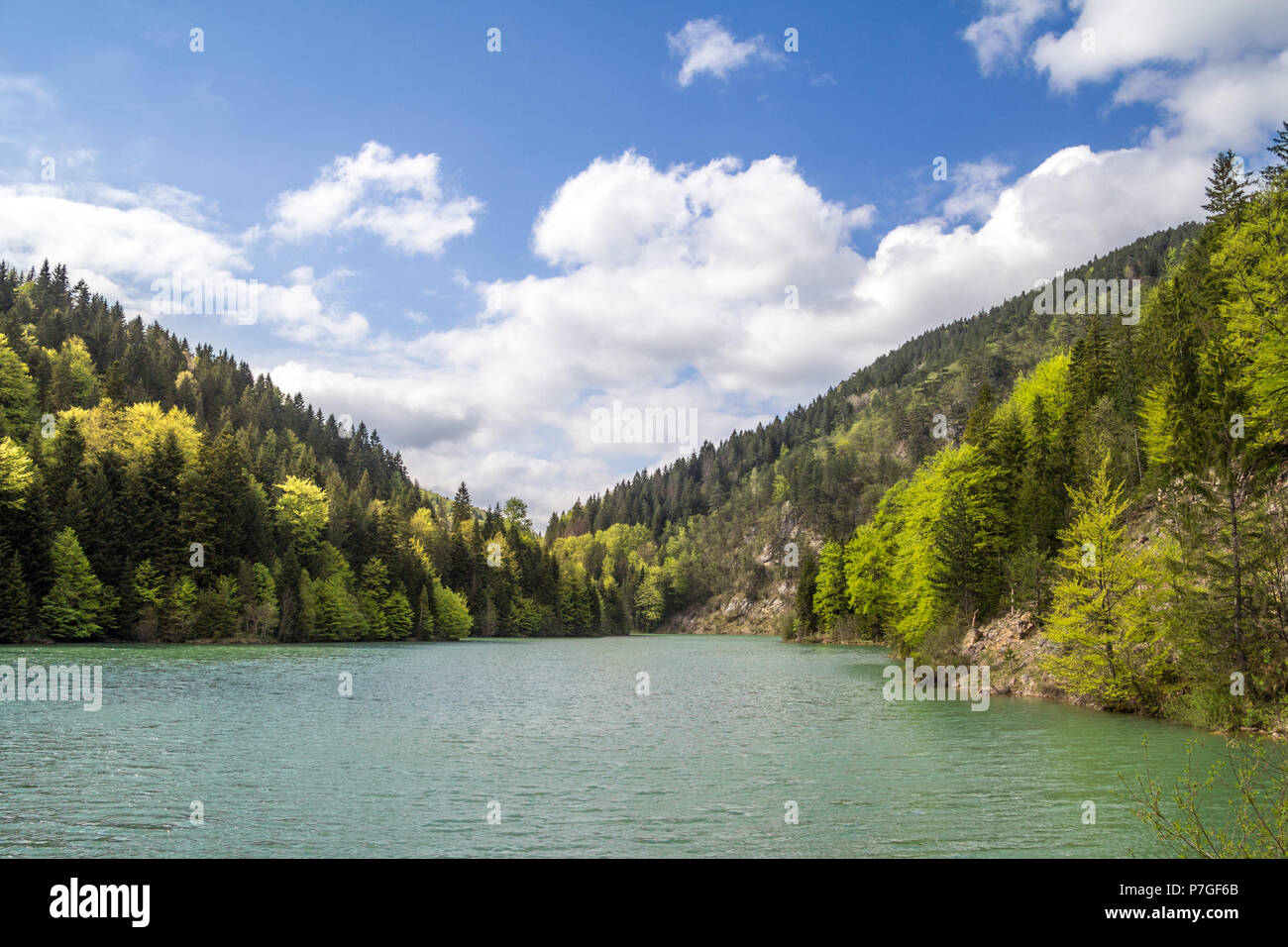 Zaovine lake in Serbia, during a sunny afternoon with a blue water and ...