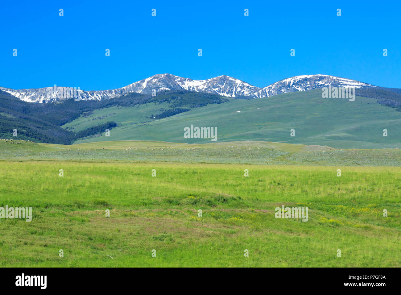 Mt d4771 hi-res stock photography and images - Alamy