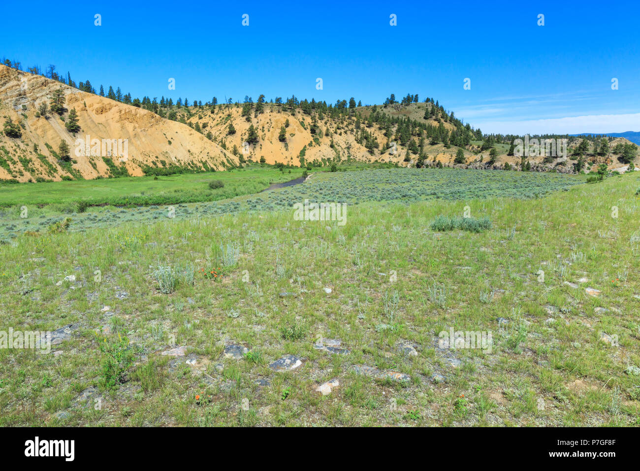 Smith river montana hi-res stock photography and images - Alamy
