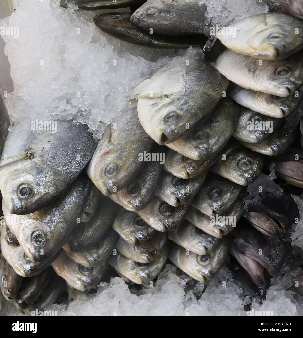 Butter fish on ice at fish market Stock Photo - Alamy