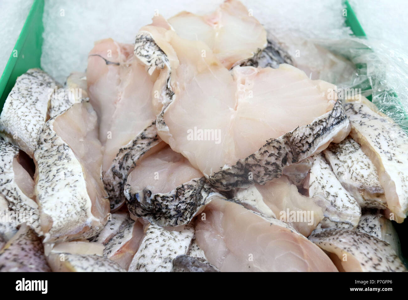 White snapper fish hi-res stock photography and images - Alamy