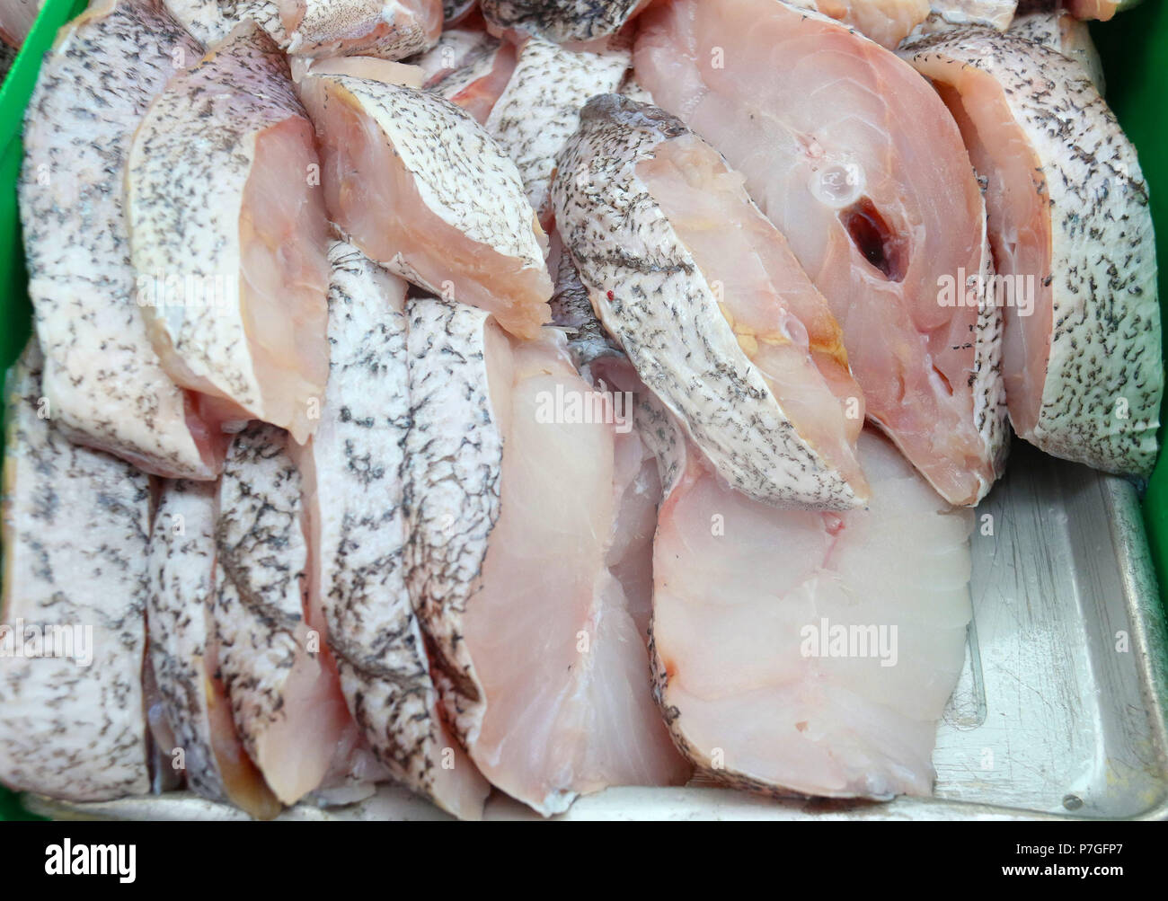 White Snapper Fish