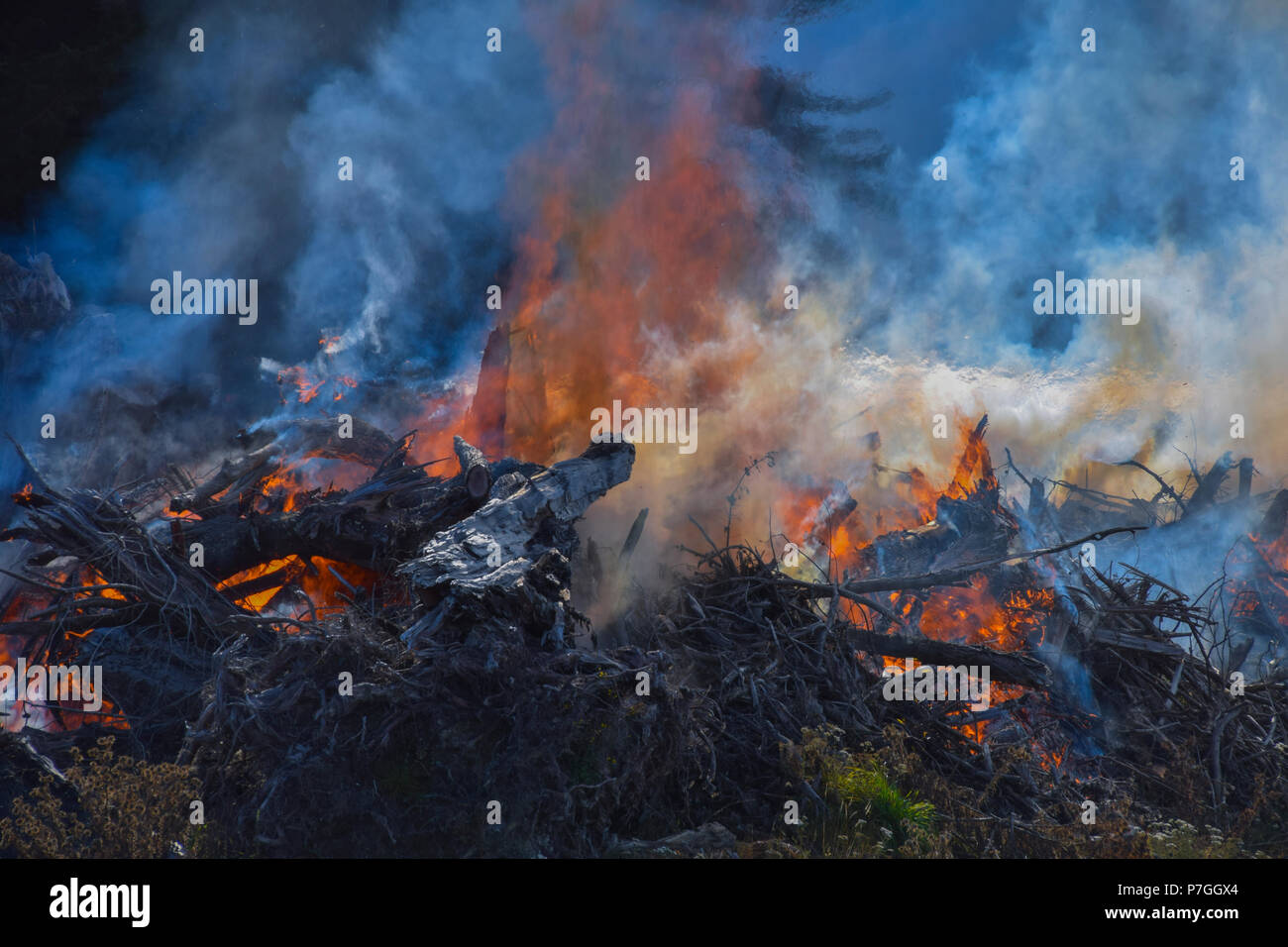 Log Wood Fire Stock Photo - Alamy