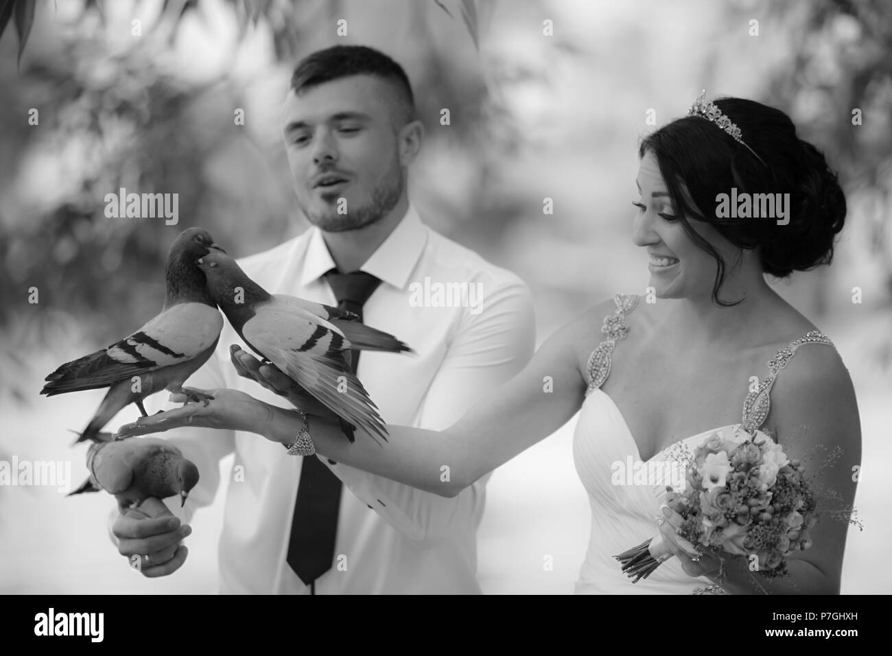 Discovering birds hi-res stock photography and images - Alamy