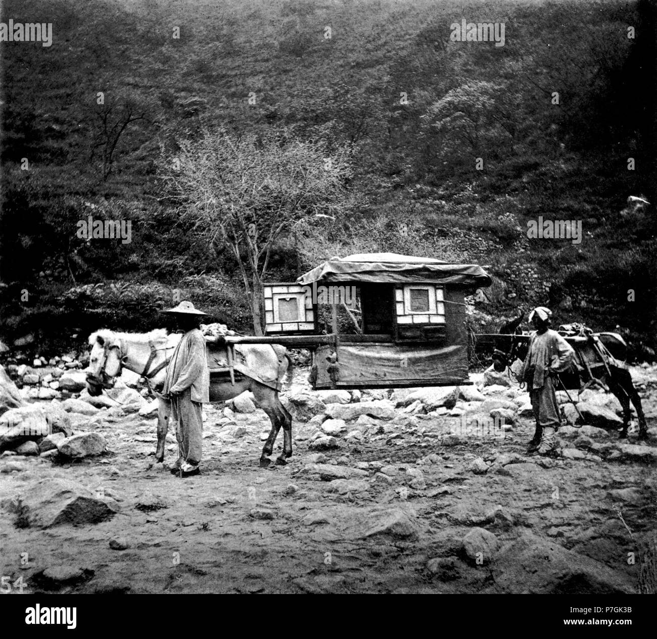 Chinese mule hi-res stock photography and images - Alamy