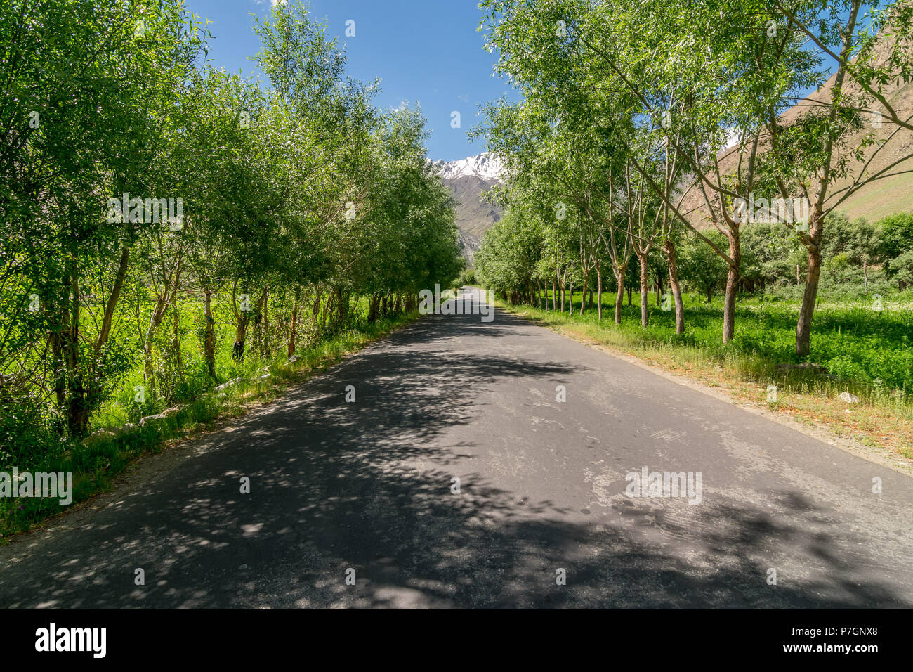 Suru Valley of Ladakh, Jammu and Kashmir Stock Photo - Alamy