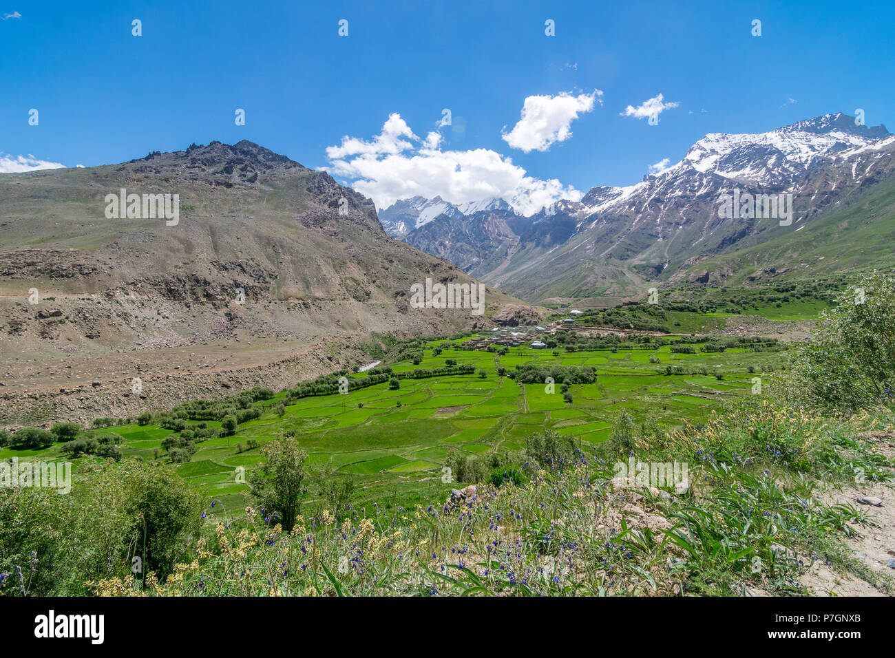 Suru Valley of Ladakh, Jammu and Kashmir Stock Photo - Alamy