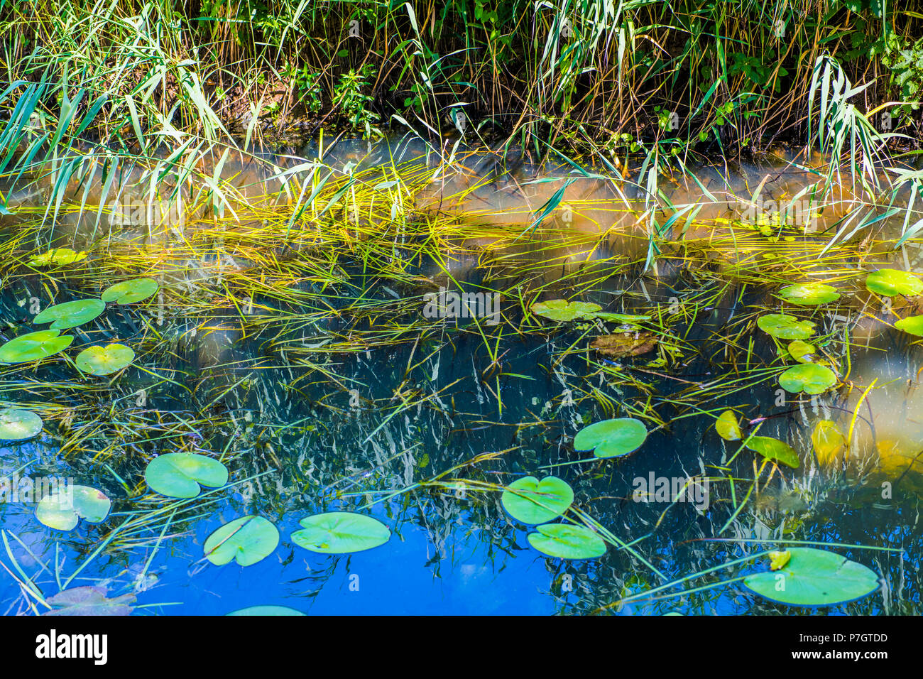 Beautiful river scene hi-res stock photography and images - Alamy