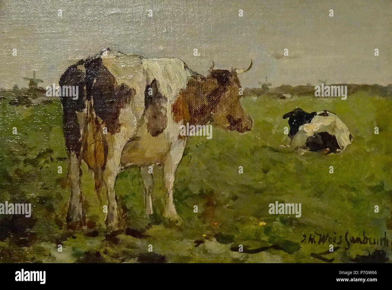 Koeien In De Wei Stock Photos & Koeien In De Wei Stock Images - Alamy