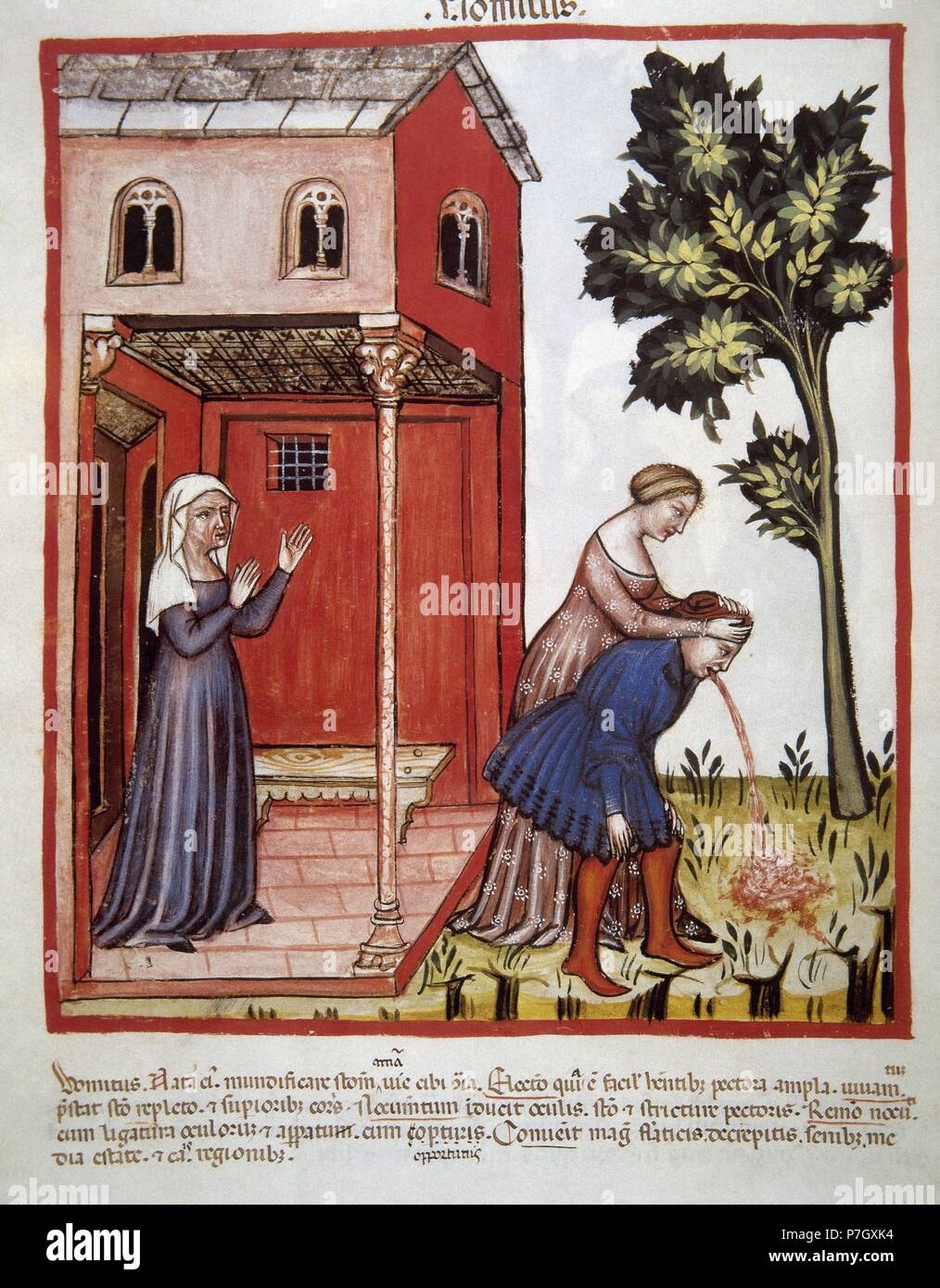 Tacuinum Sanitatis. 14th century. Medieval handbook of health. Vomiting ...