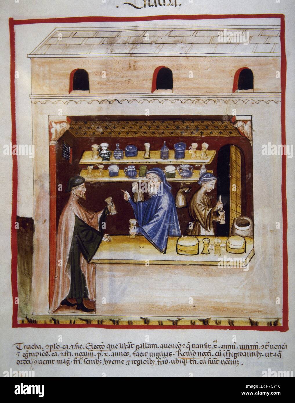 Tacuinum sanitatis 14th century medieval hi-res stock photography and ...