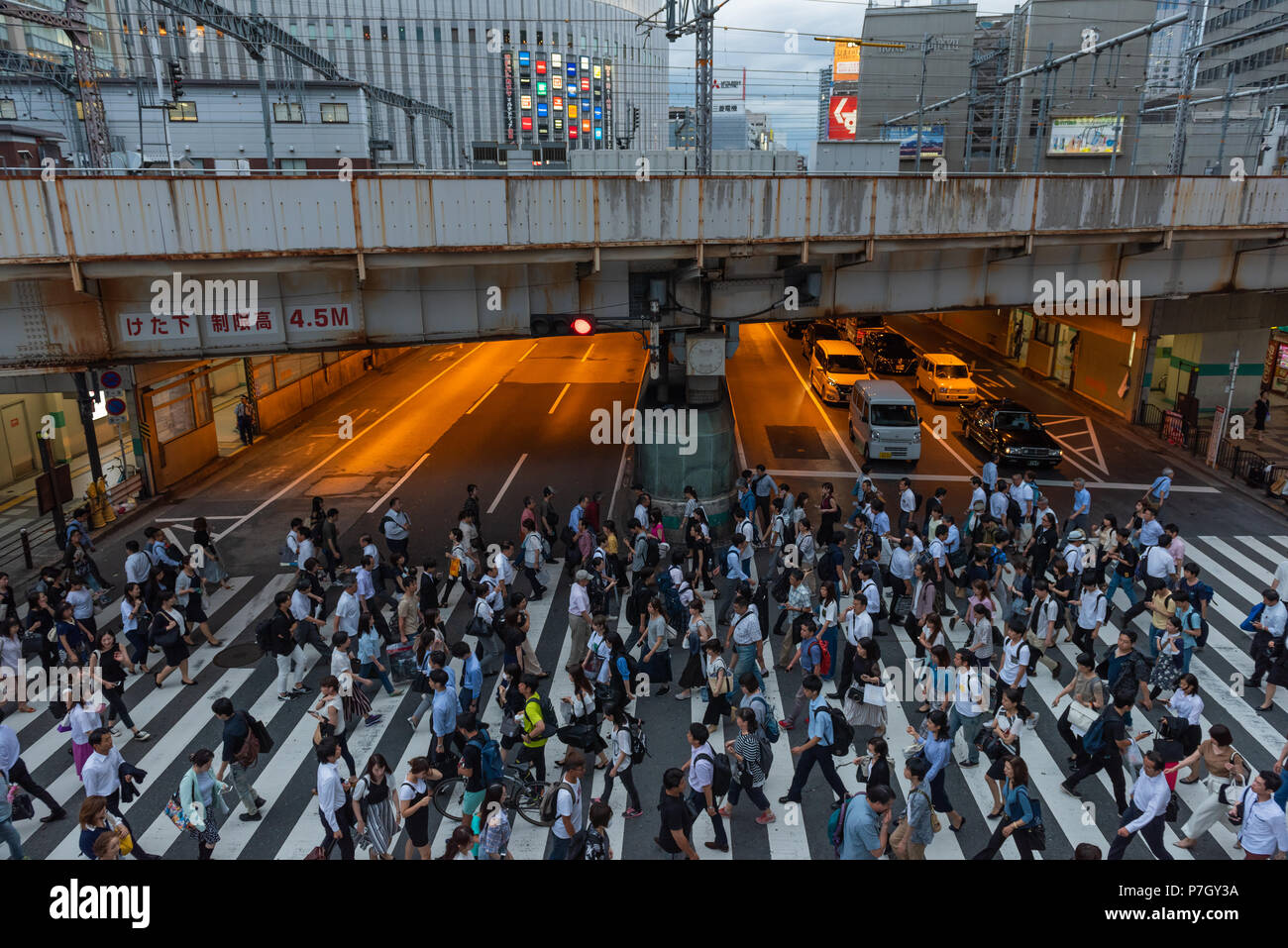 Osaka neon crossing hi-res stock photography and images - Alamy