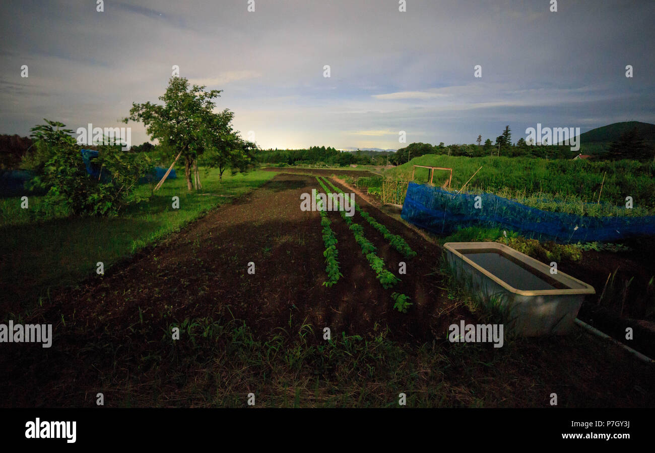Water basin next to rows of crops on small farm in rural Tottori ...