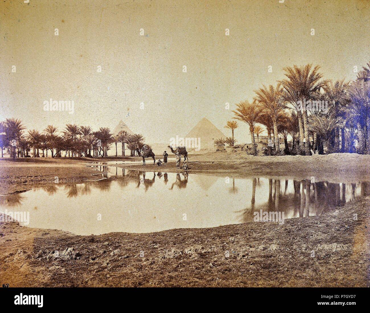 Oasis de egipto hi-res stock photography and images - Alamy
