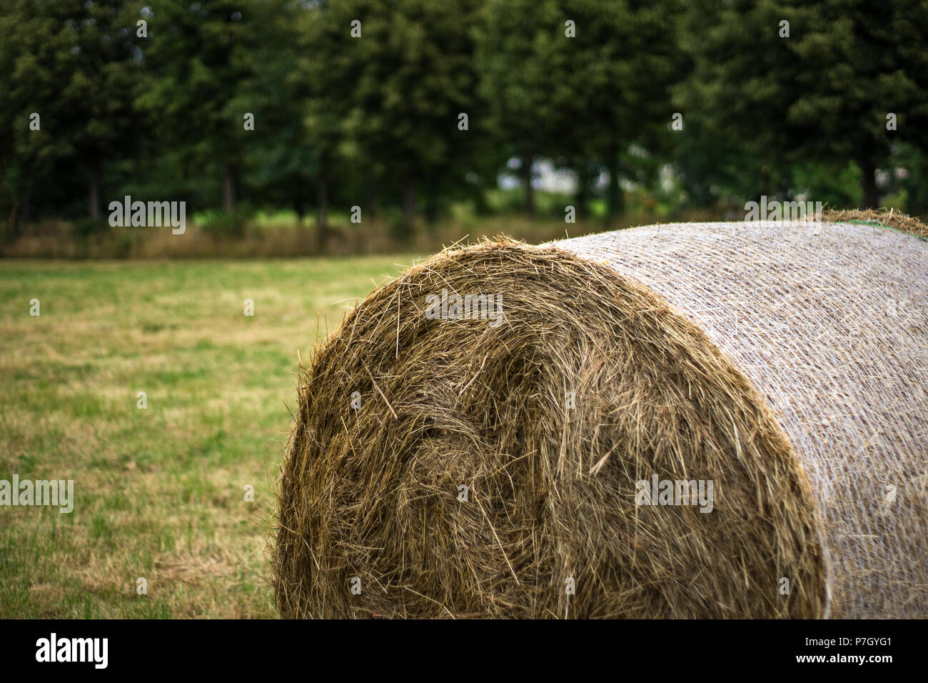 Straw bale texture hi-res stock photography and images - Alamy