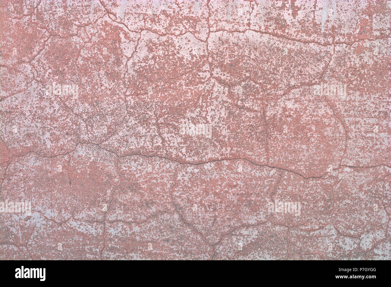 An ancient pink wall Stock Photo - Alamy
