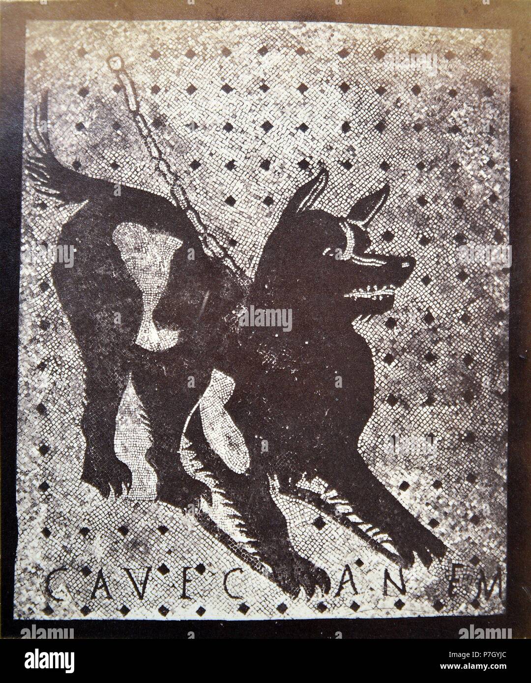 Cave canem hi-res stock photography and images - Alamy