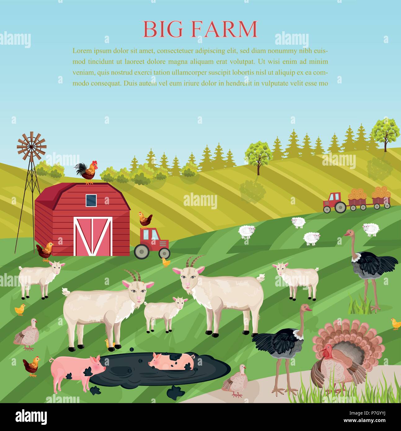 Goats, pigs and chicken animals at the farm Vector. summer green ...