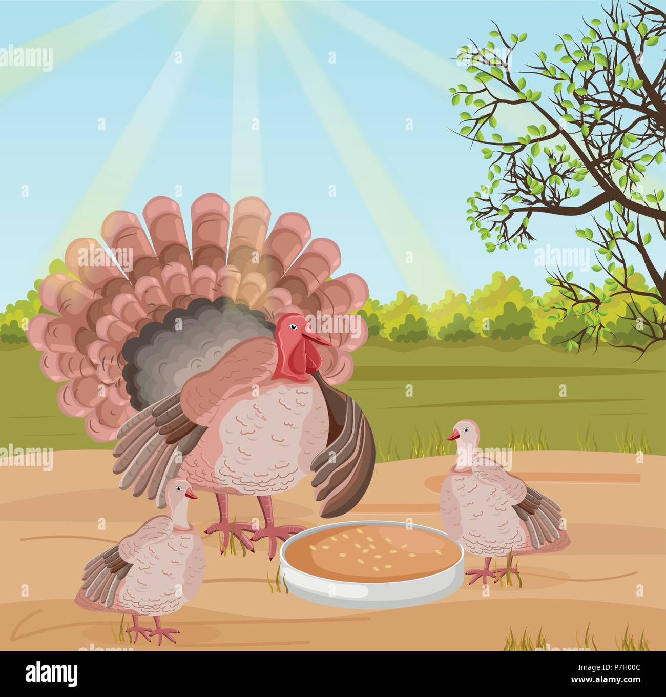 Turkey at the farm Vector. Nature background illustration Stock Vector ...