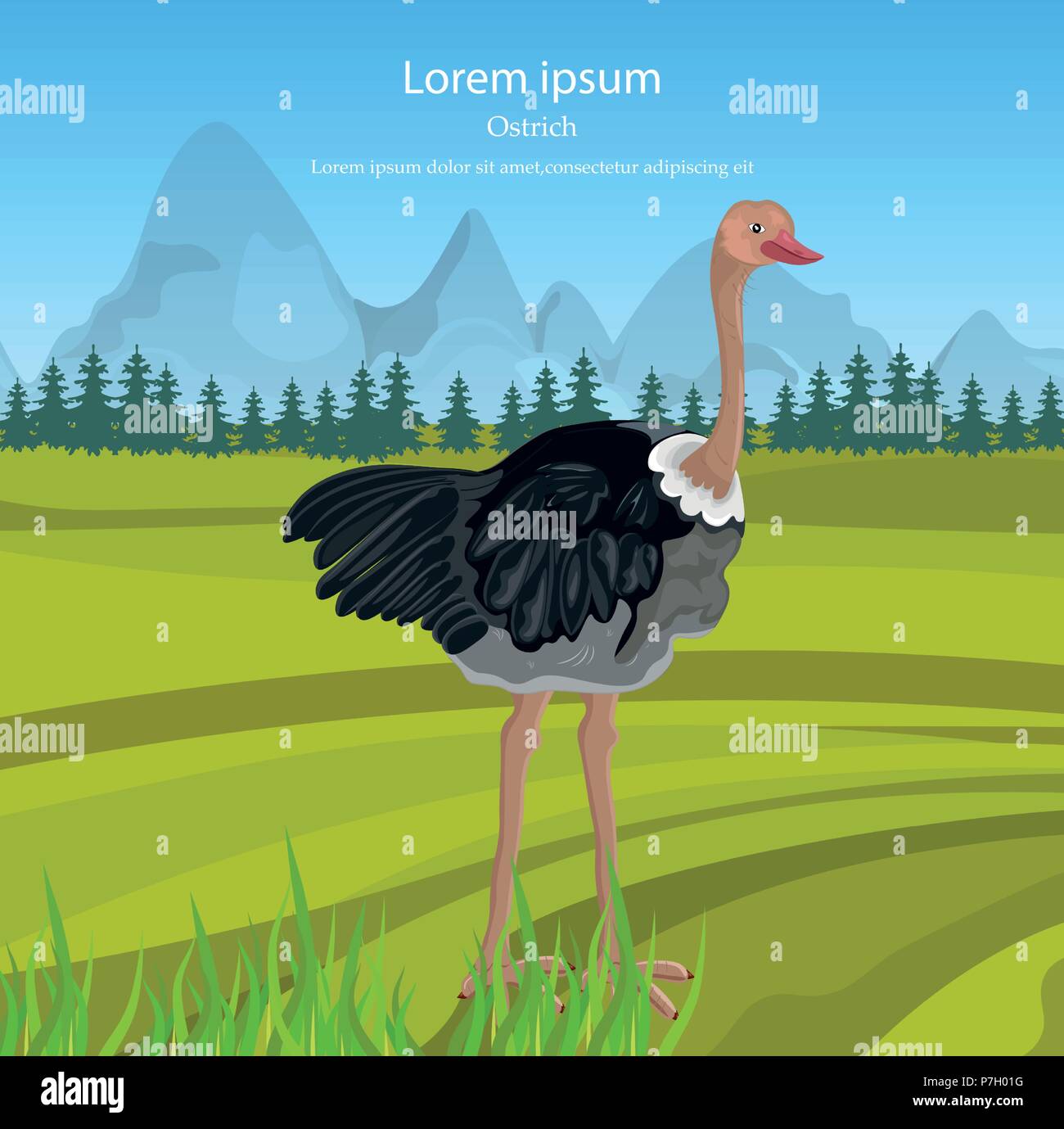 Green ostrich feather Stock Vector Images - Alamy