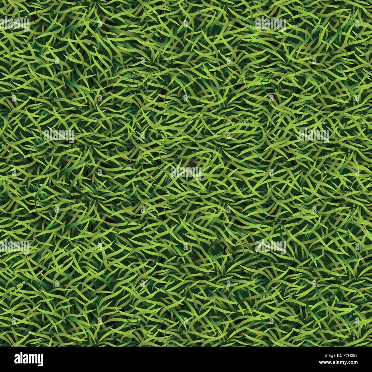 Green grass background Vector. Realistic template illustration Stock ...