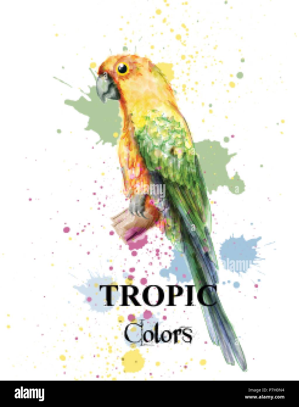 Tropical paradise parrot bird watercolor Vector. Paint splash colorful ...