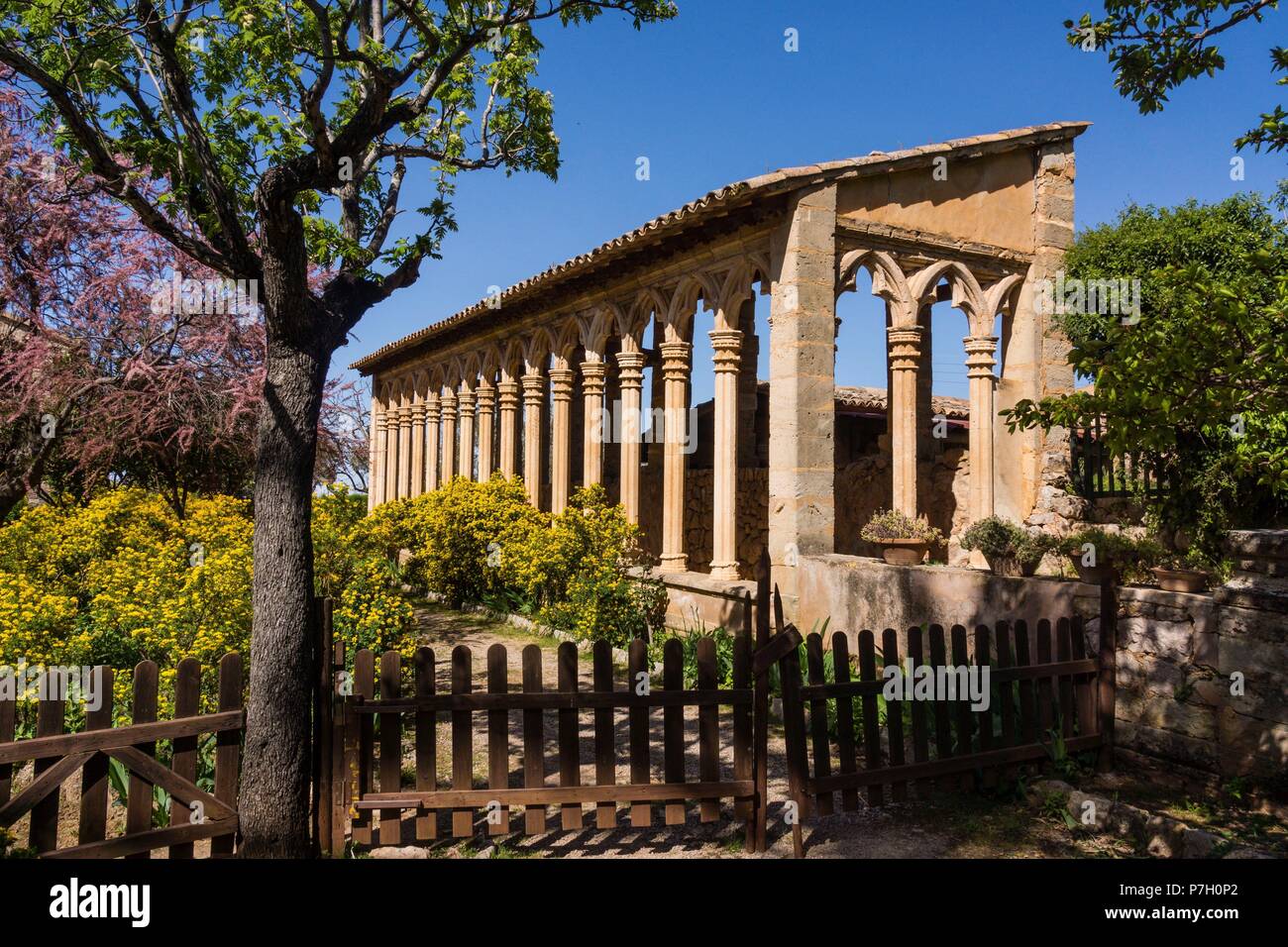 Monasterio de Miramar, Valldemossa, fundado en 1276 por Jaume II, a ...