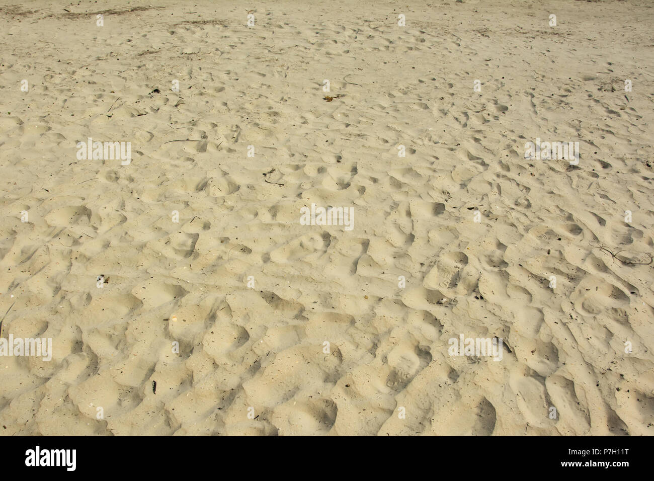 Surface of sand on the beach Stock Photo - Alamy