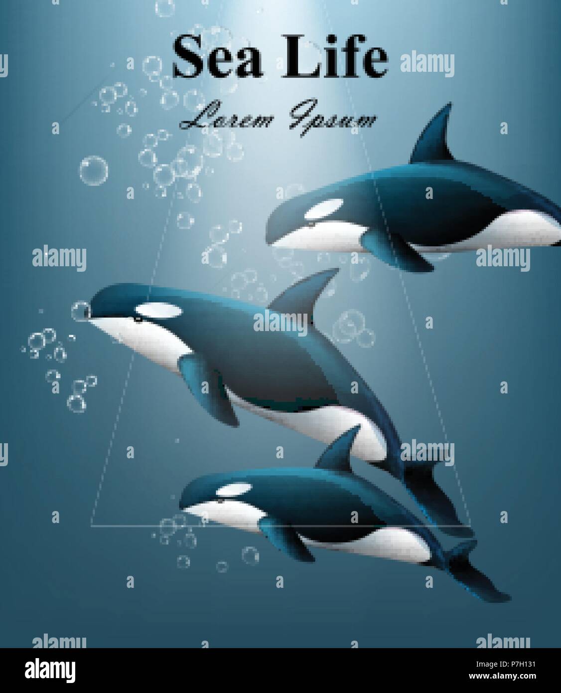 Whales under water Vector. Sea life beautiful background illustration ...
