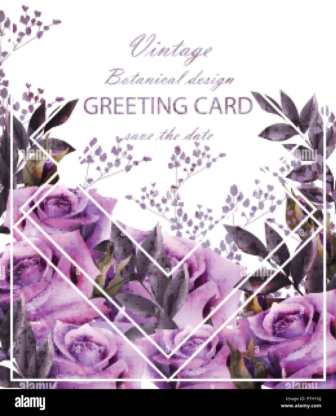 Vintage card with roses Vector. Realistic stylish purple roses ...
