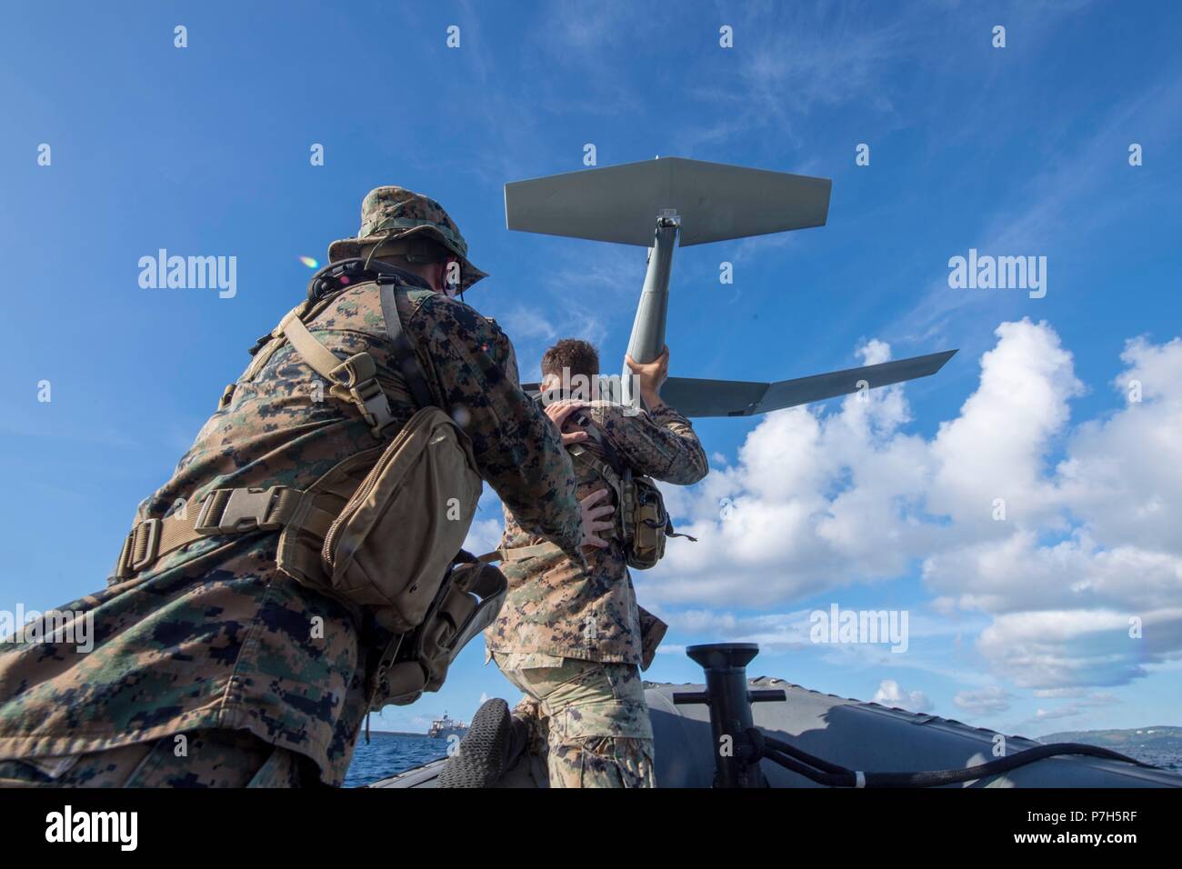 From Left Puma High Resolution Stock Photography and Images - Alamy