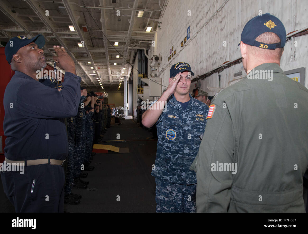 Nicholas The Cat High Resolution Stock Photography and Images - Alamy