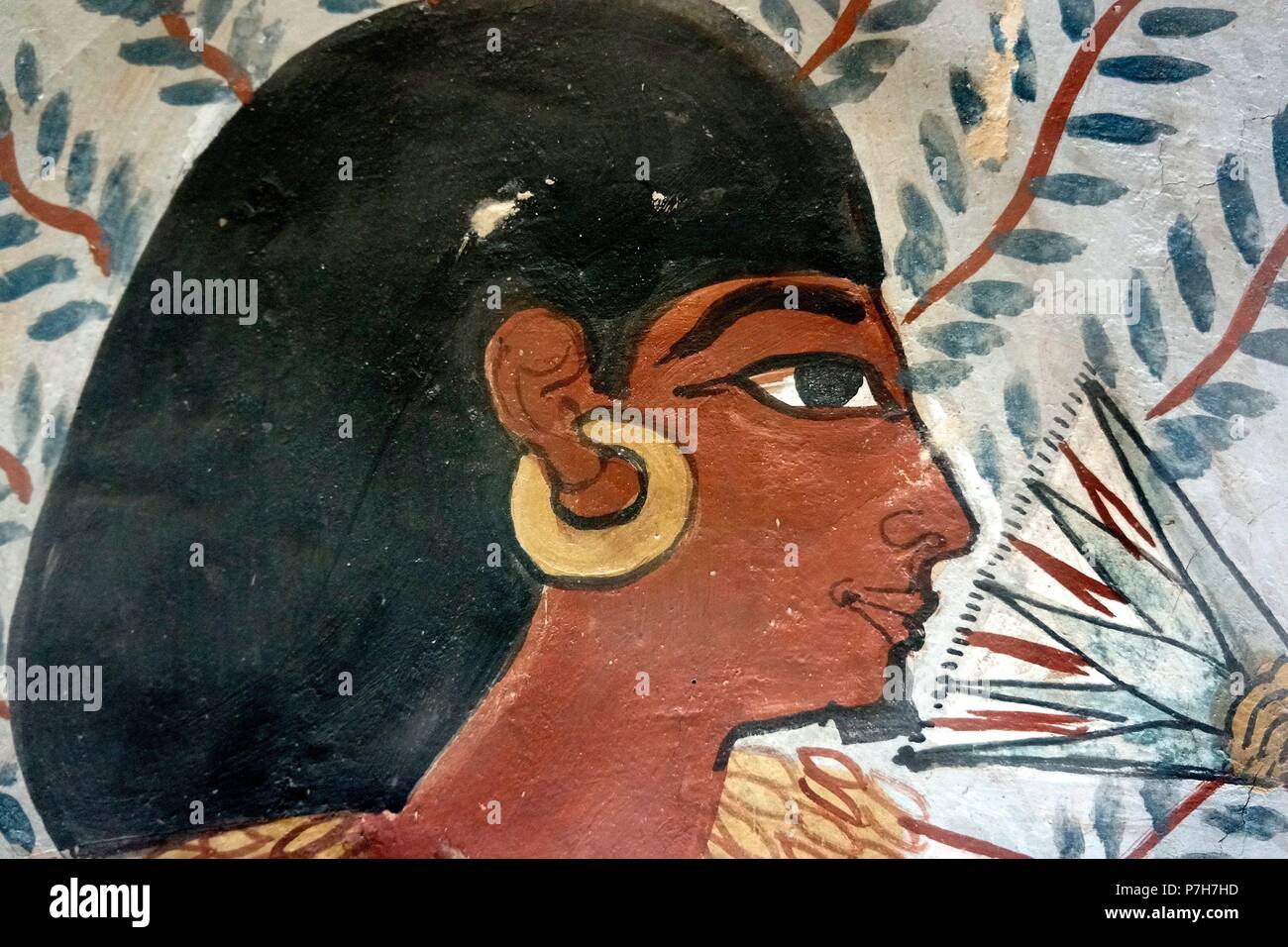 Tomb Of Sennofer High Resolution Stock Photography and Images - Alamy