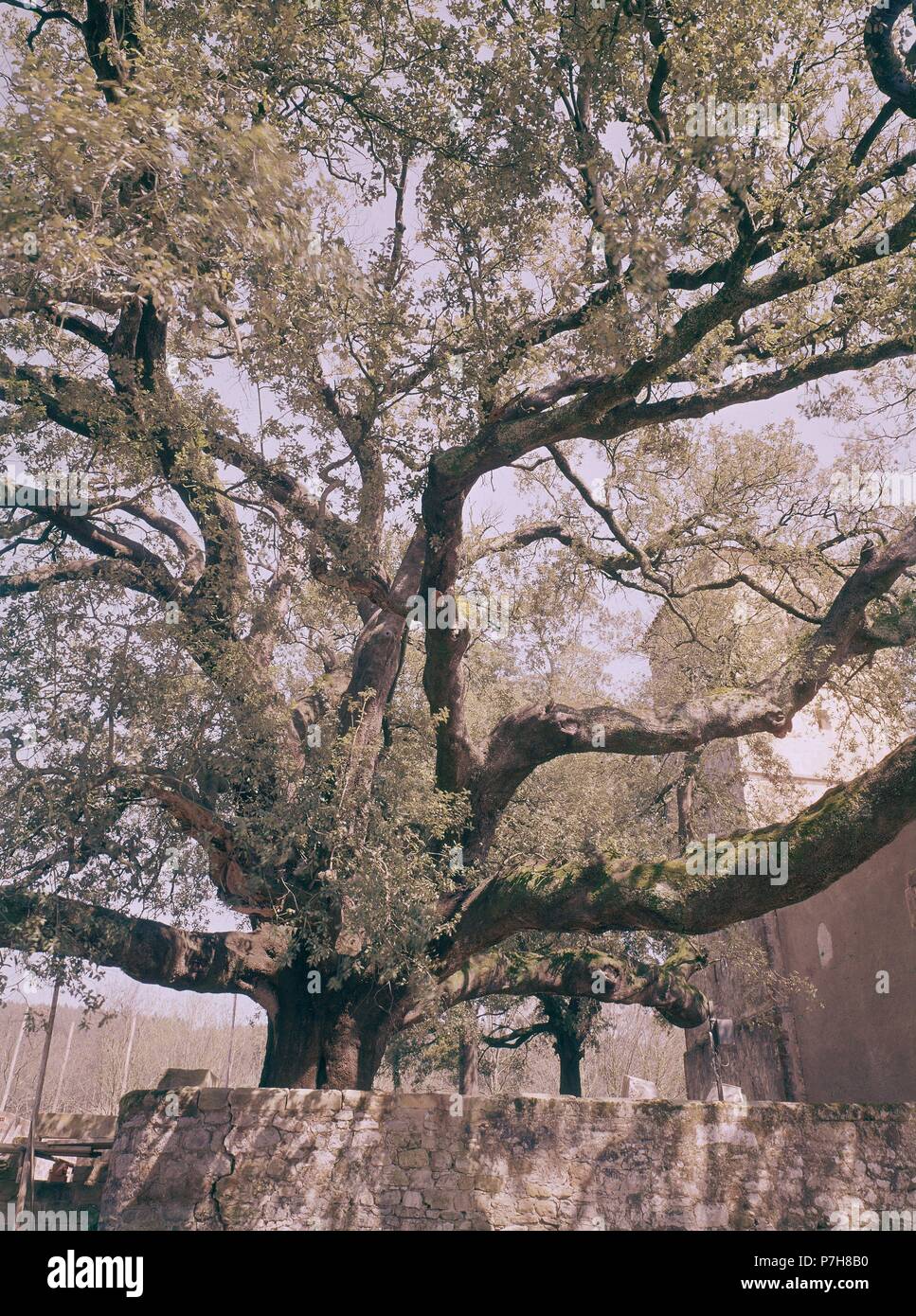 Hoz de anero hi-res stock photography and images - Alamy