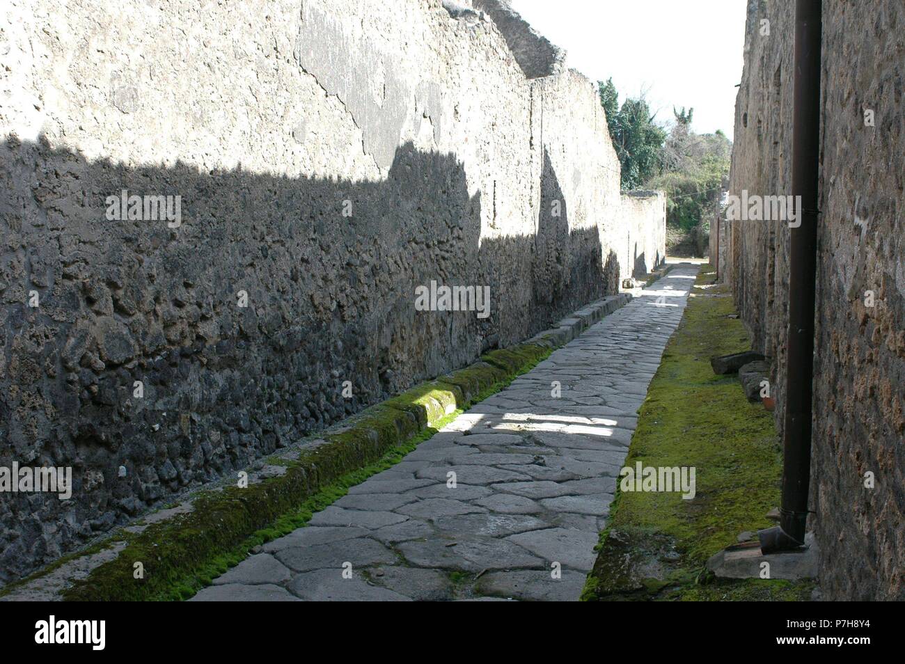 CALLE DE POMPEYA. Location: EXTERIOR, ITALIA Stock Photo - Alamy