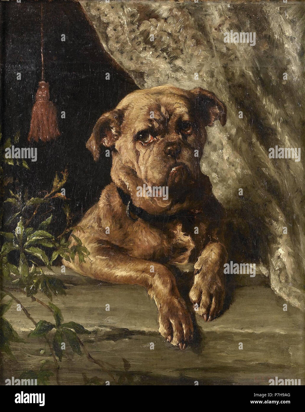 Holmes George Augustus - DID I Hear Cats Stock Photo - Alamy