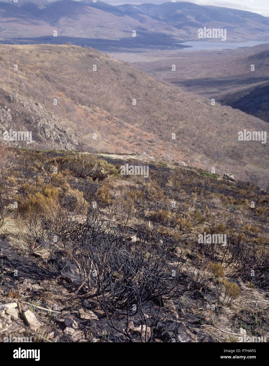 PANORAMICA DEL VALLE DEL LOZOYA. Location: EXTERIOR, RASCAFRIA, MADRID ...