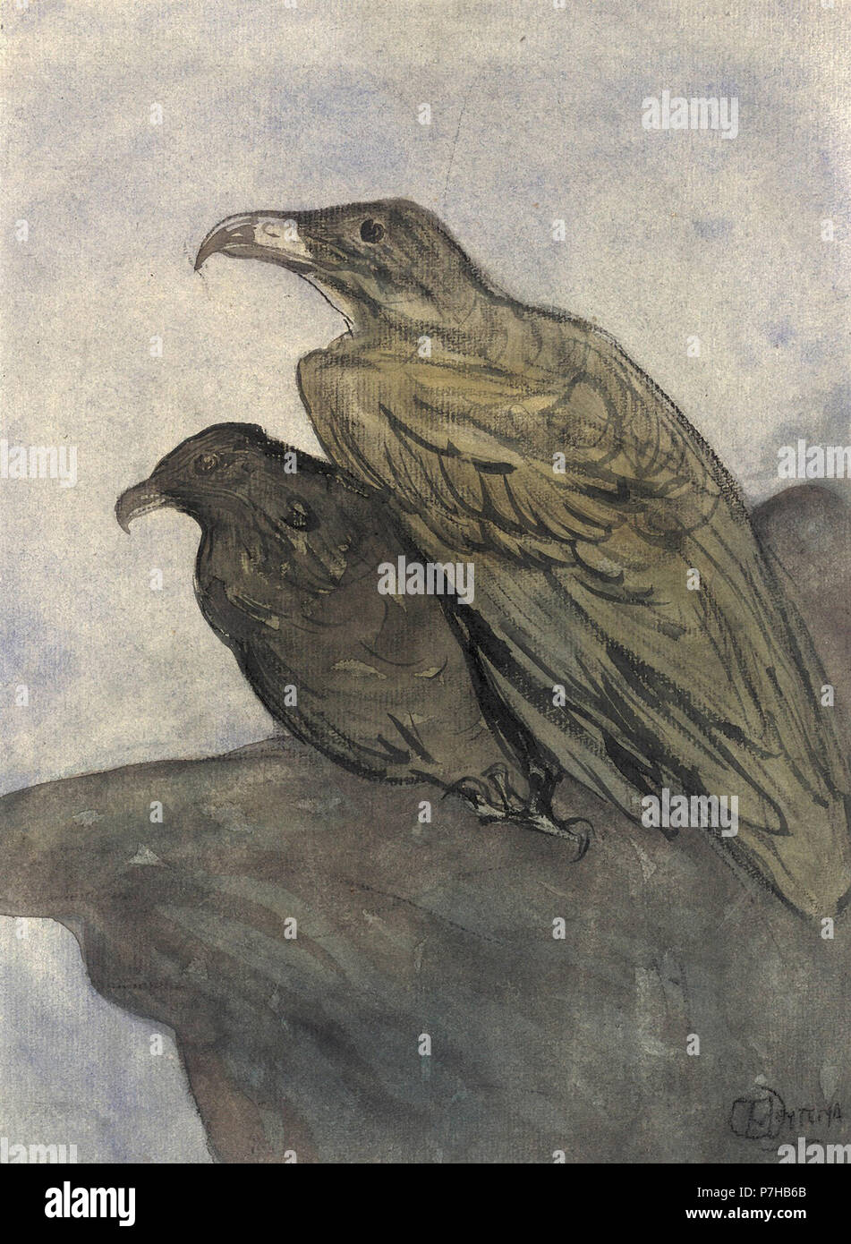 Roofvogels hi-res stock photography and images - Alamy