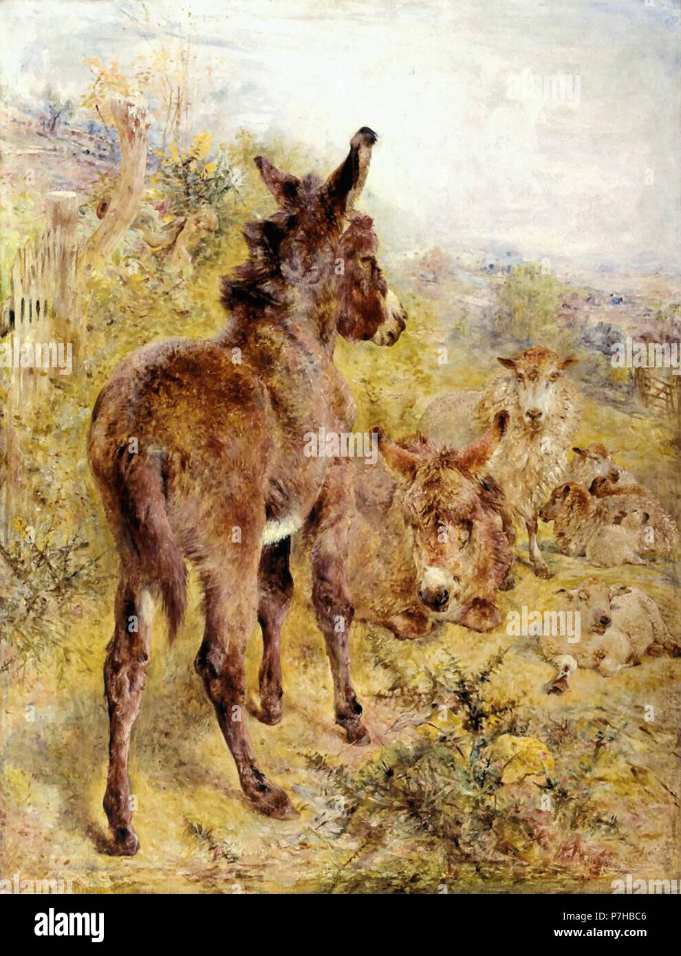 Huggins William - Donkeys and Sheep in a Landscape Stock Photo - Alamy