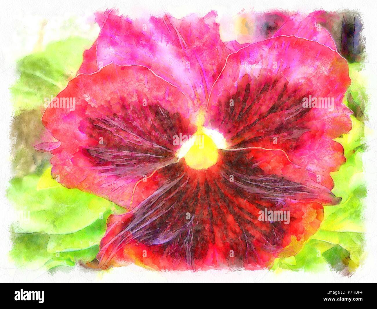 rose bushes in the old Spanish garden. Pink and red rose petals Stock ...