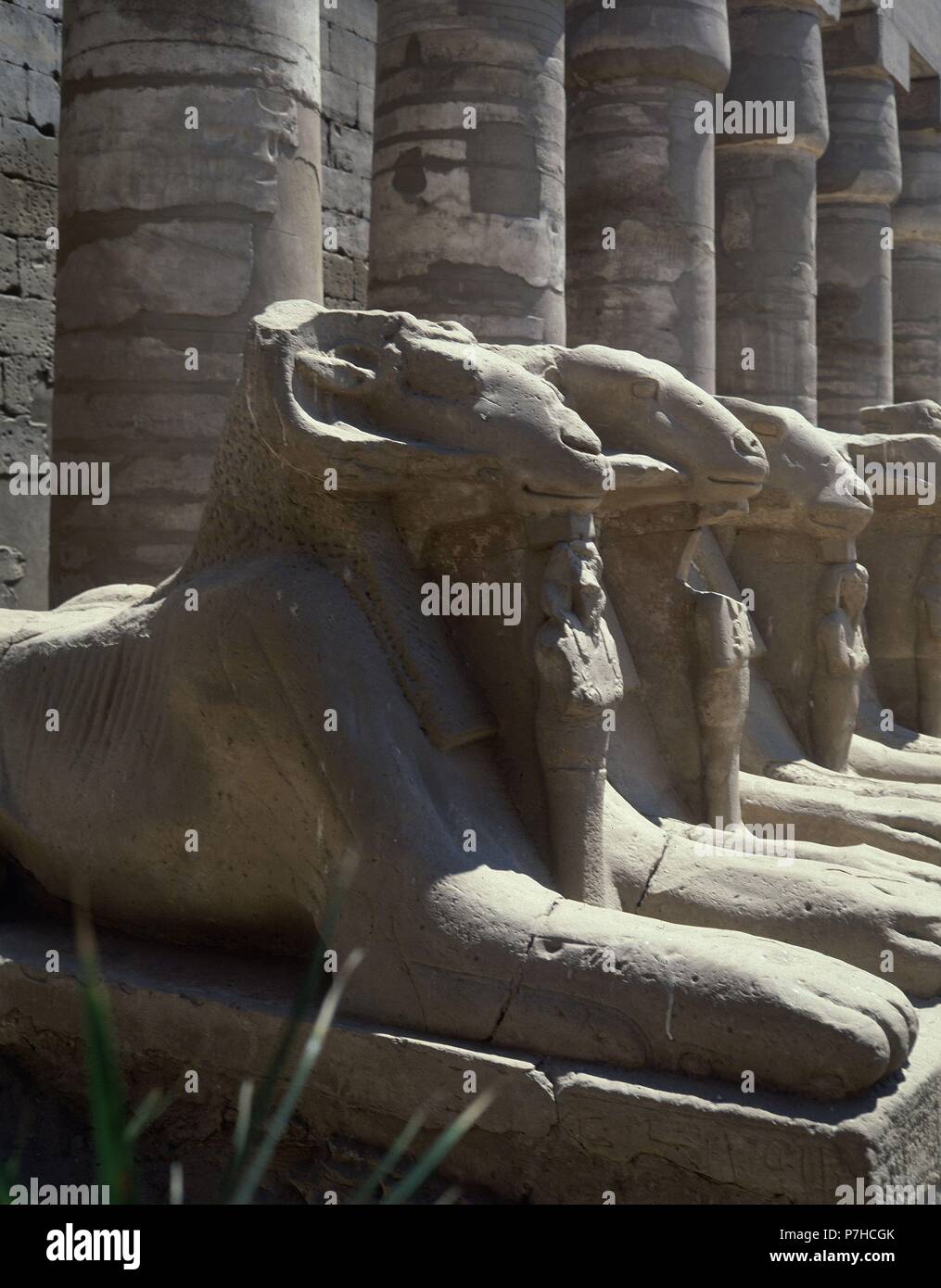 ESFINGES CON CABEZA DE CARNERO EN EL PRIMER PATIO. Location: KARNAC ...